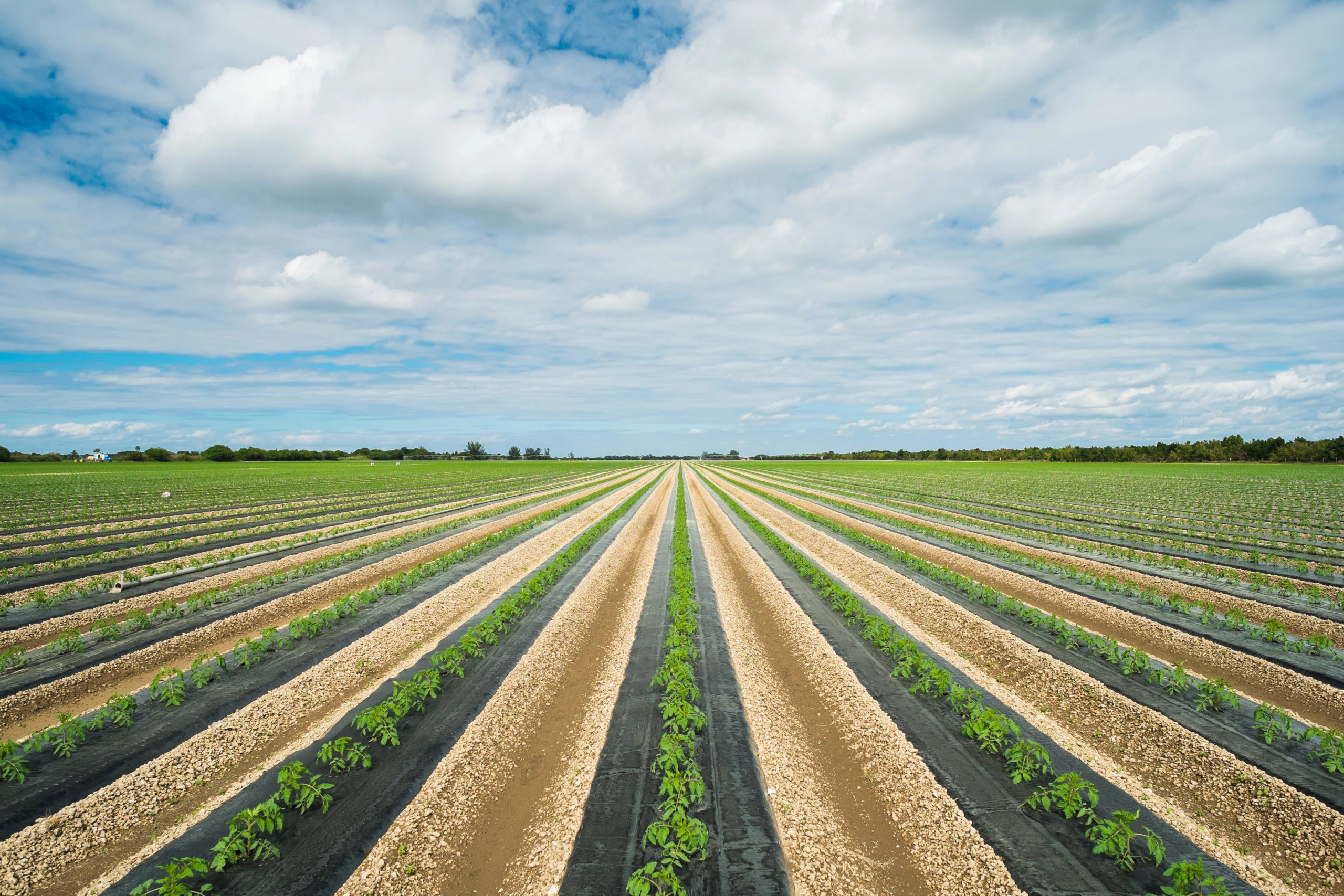 USDA Launches Interactive Census of Agriculture Maps - Southeast AgNET