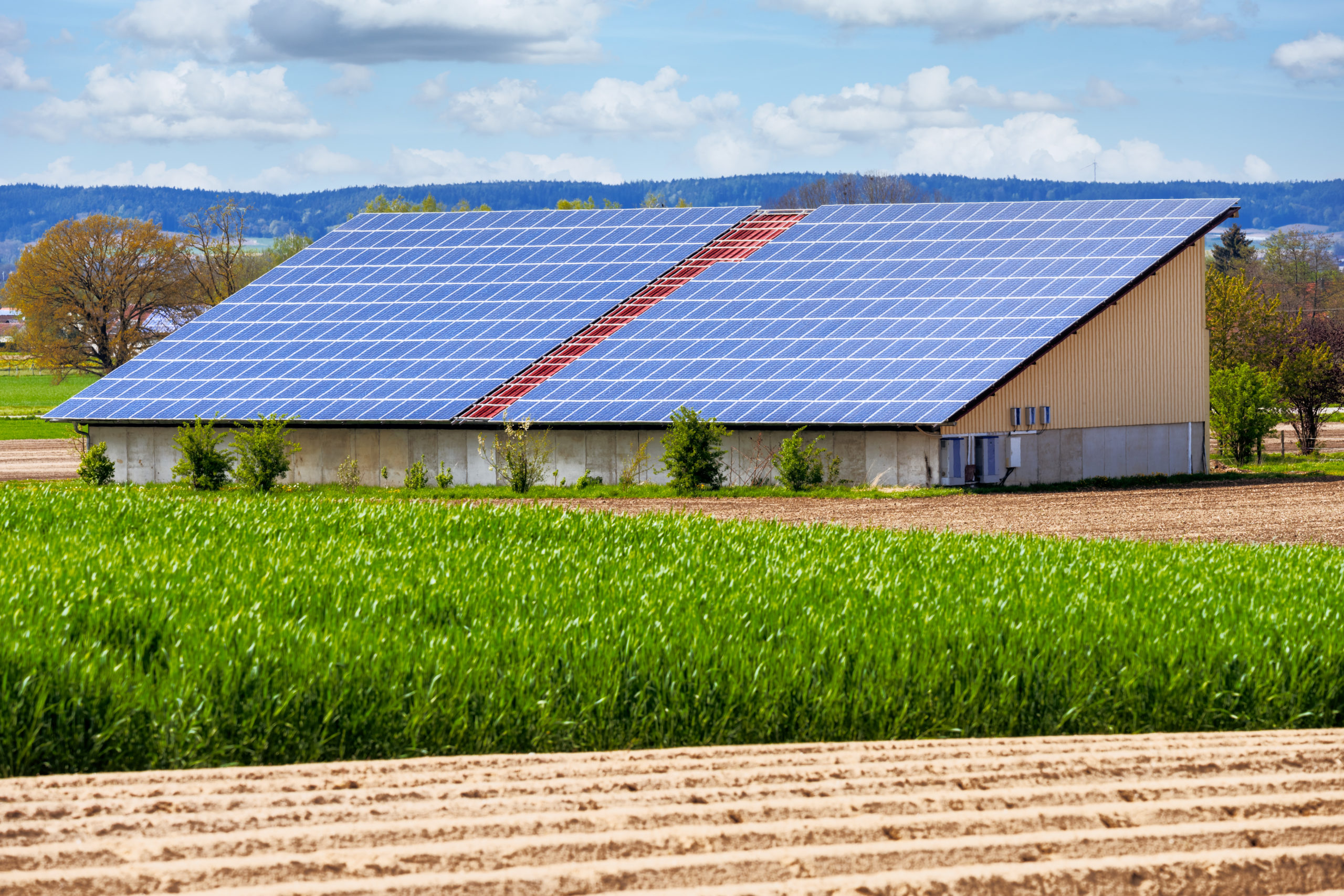 Farm Bill 2.0 Solar Debate - Farm Bill Southeast AgNET
