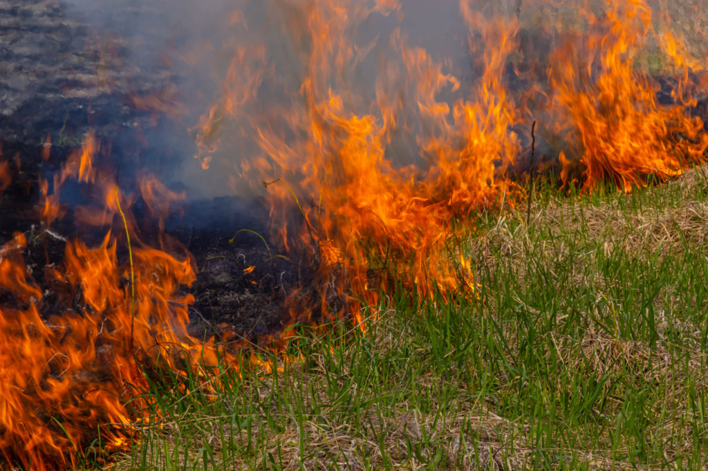 Supporting Community Wildfire Defense Efforts - Southeast AgNET