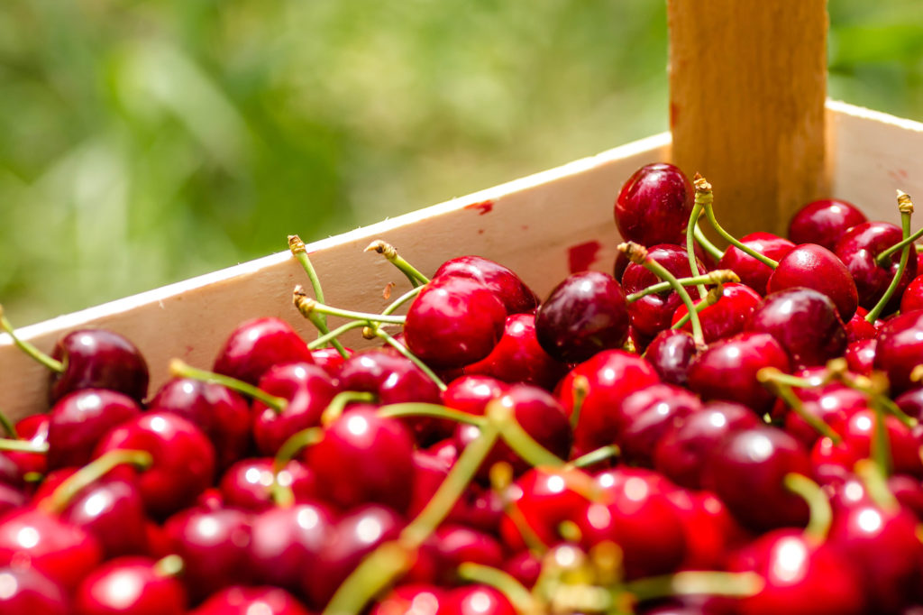 Sweet Cherry Production Report - Southeast AgNET