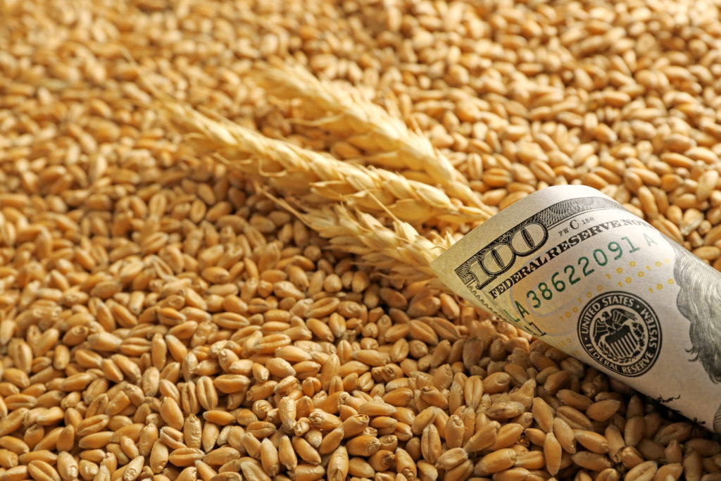 Trend Continues Lower in the Grain Trade - Southeast AgNET
