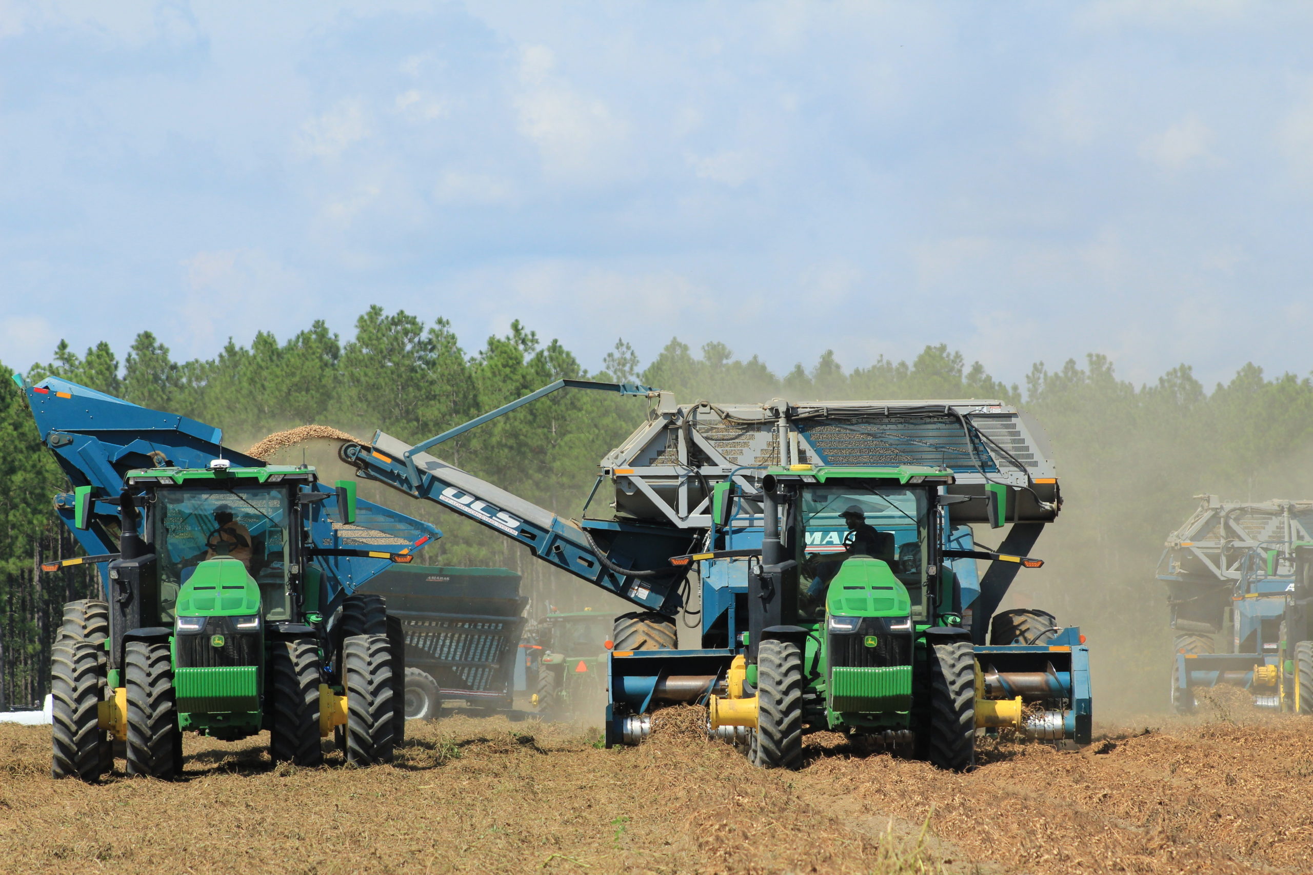 Update on The Peanut Crop - Southeast AgNET