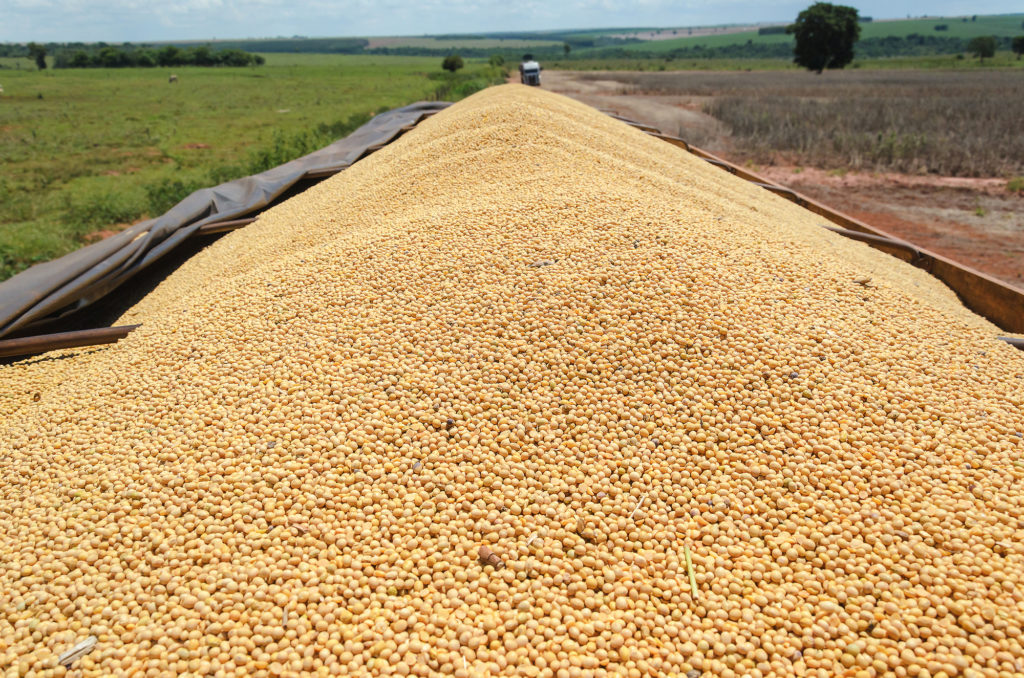 Soybean Trade Volume - Soybeans Southeast AgNET