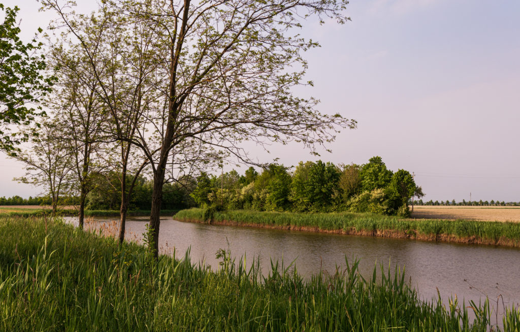 USDA-NRCS in Georgia Announces Sign-Up for Conservation Easements Program