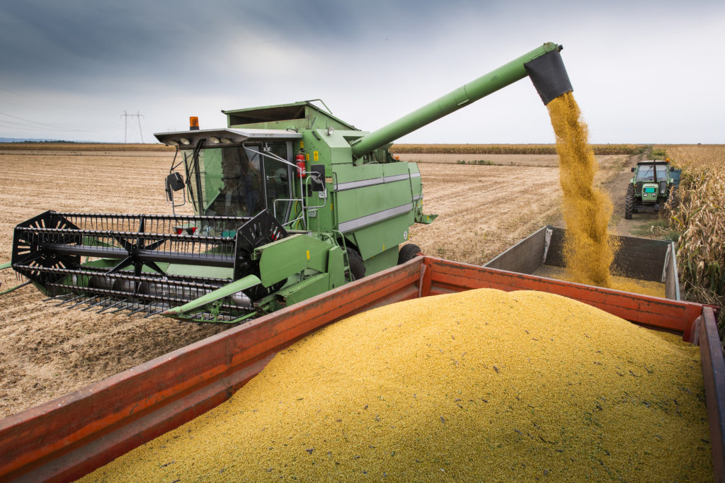 More Crop Production Forecast Numbers - Field Crops Southeast AgNET