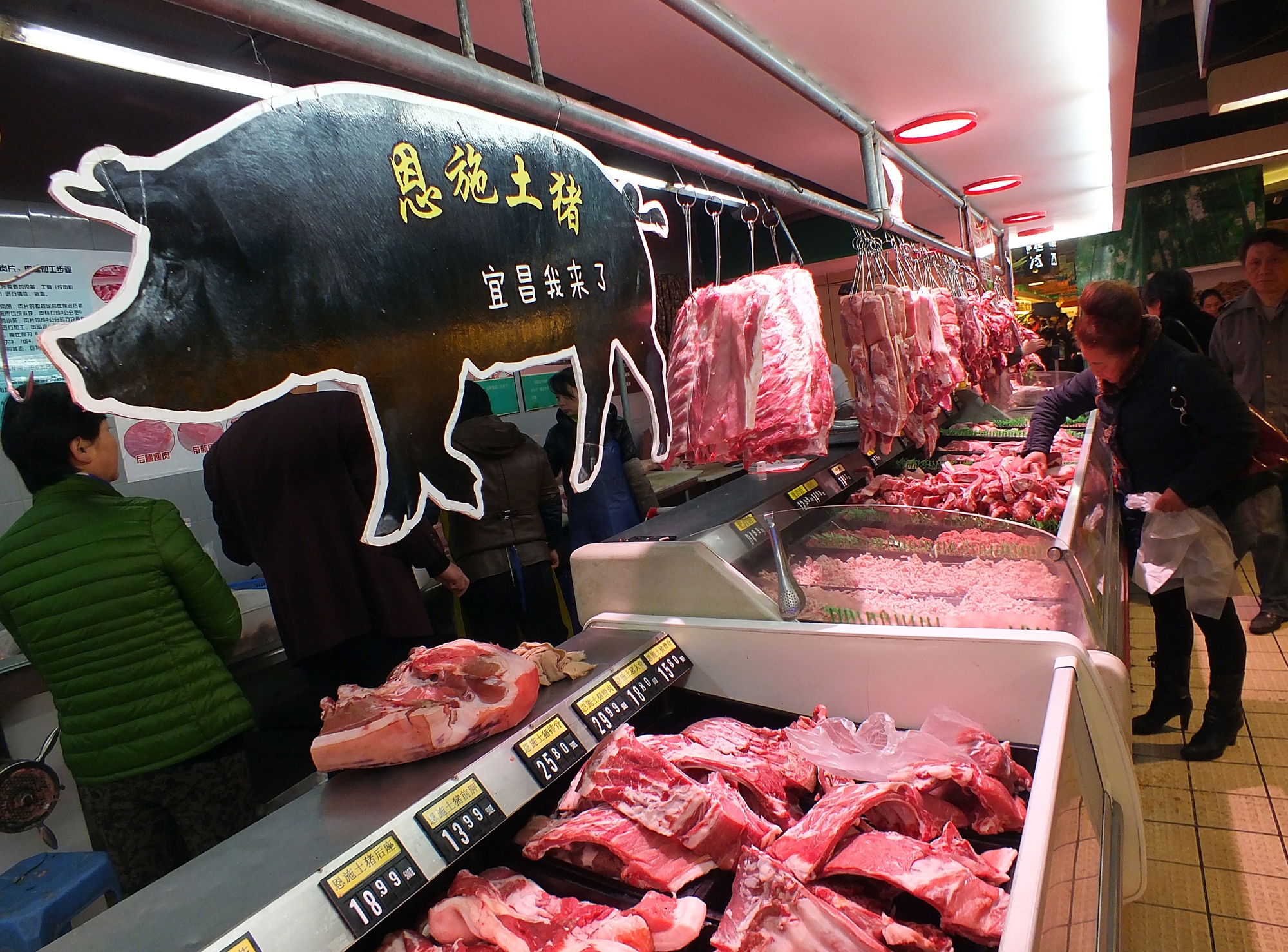 USMEF Reviews July 2025 Pork and Beef Export Trends: Strong Latin ...