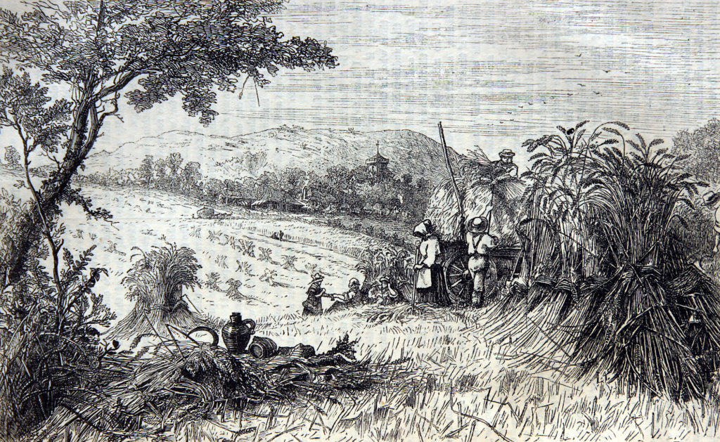 American Agriculture History Minute: Boone Teaches Farming Methods