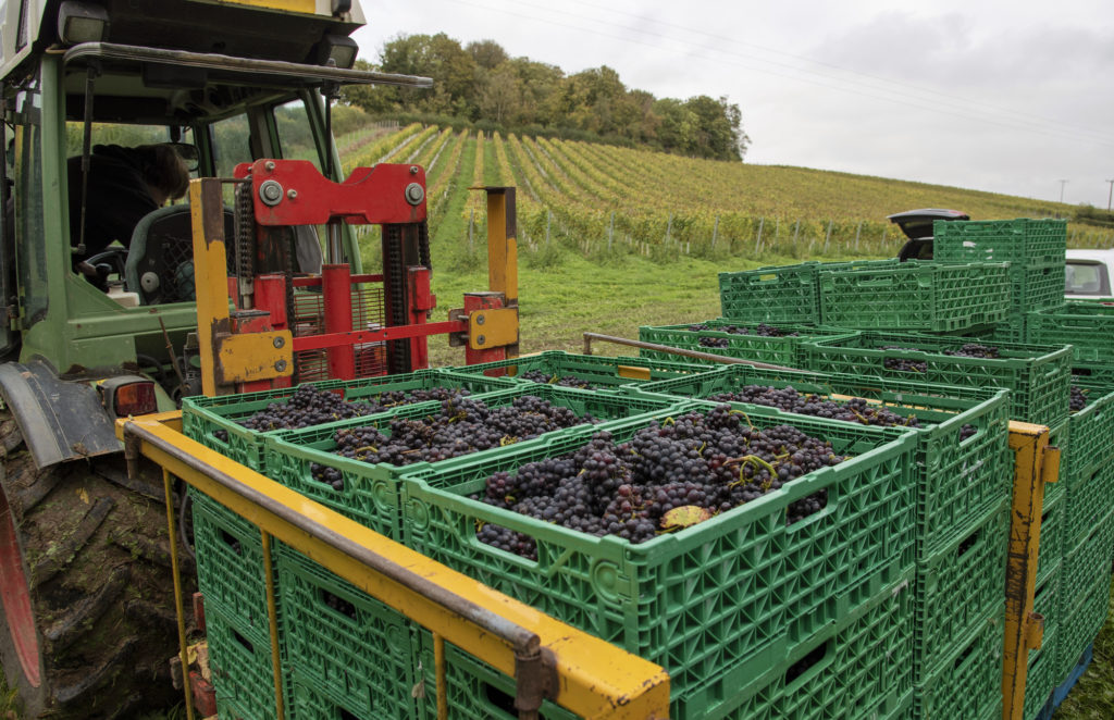 USDA Awards $25 Million to Support Specialty Crop Exports - Southeast AgNET