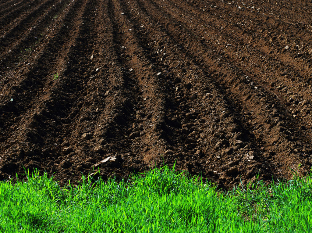 Wide Disparity in Latest Topsoil Moisture Condition Report - Soil ...