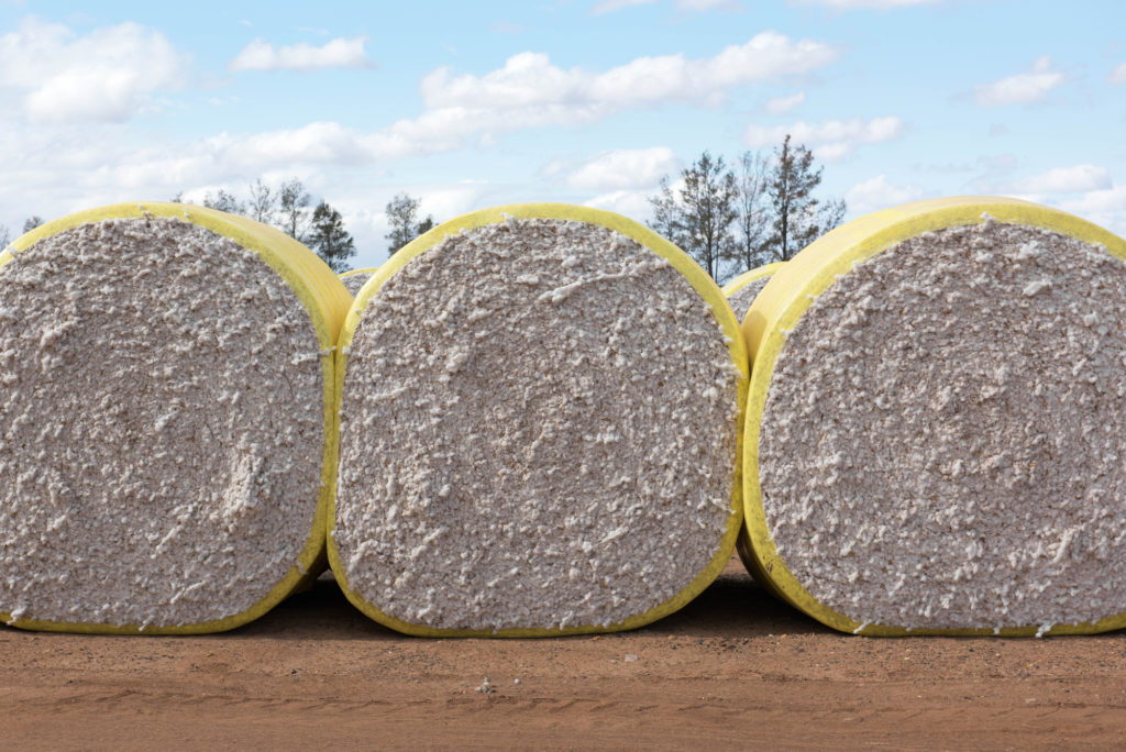 USDA Releases Domestic and Global Cotton Supply and Demand Outlook For ...