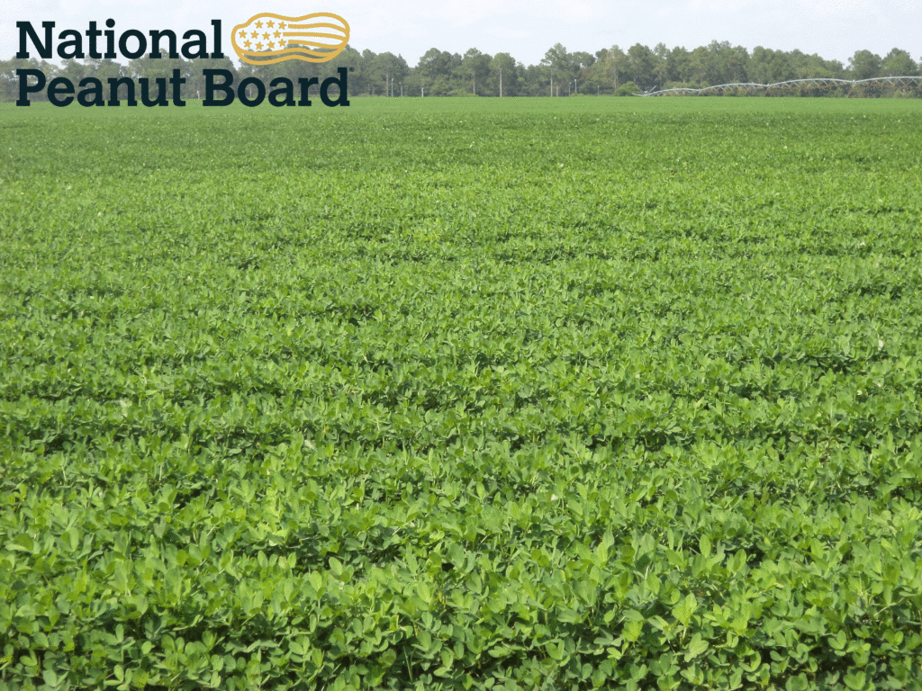 National Peanut Board Highlights Growth - National Peanut Board ...
