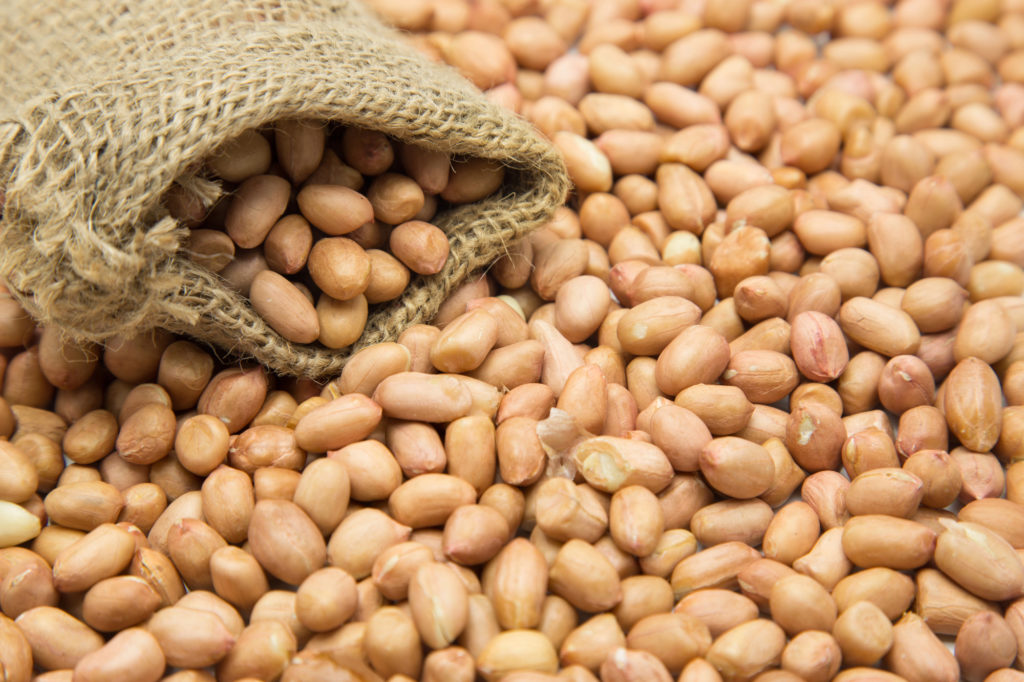 A Look At US Peanut Exports - Peanuts Southeast AgNET