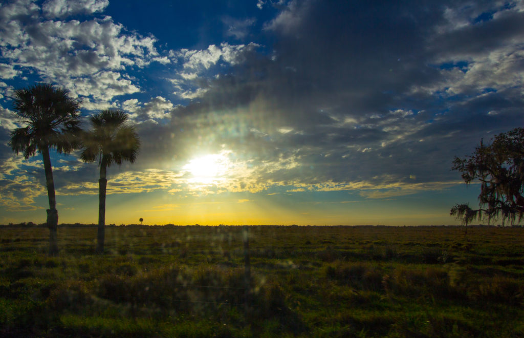 Hendry County, Florida Ranch Preserved Through RFLPP - Southeast AgNET