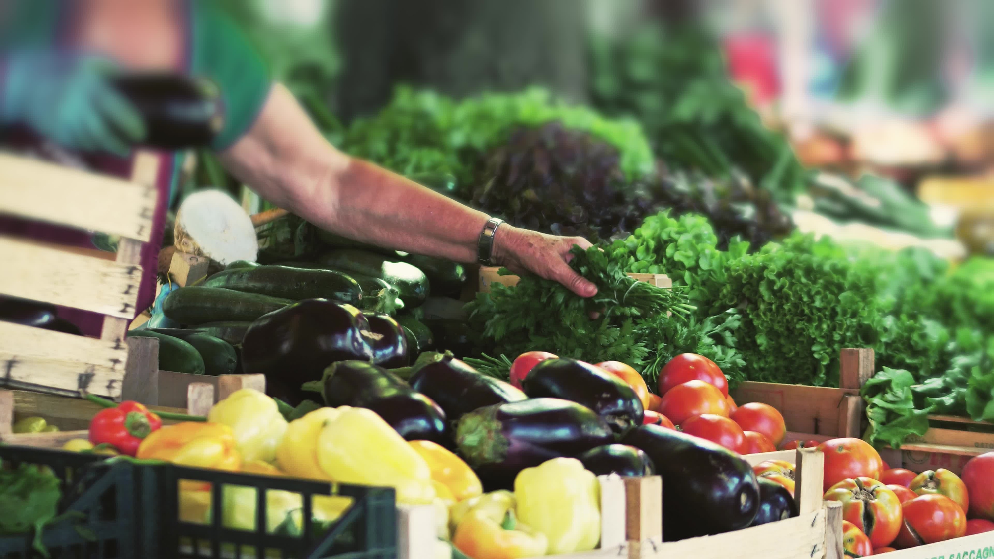 $5.9 Million Awarded to Alabama Projects that Strengthen Food Supply ...