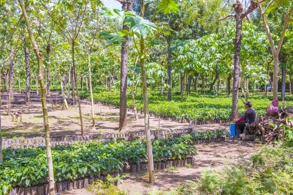 USTR Announces Reciprocal Agreement With Guatemala - Trade Southeast AgNET