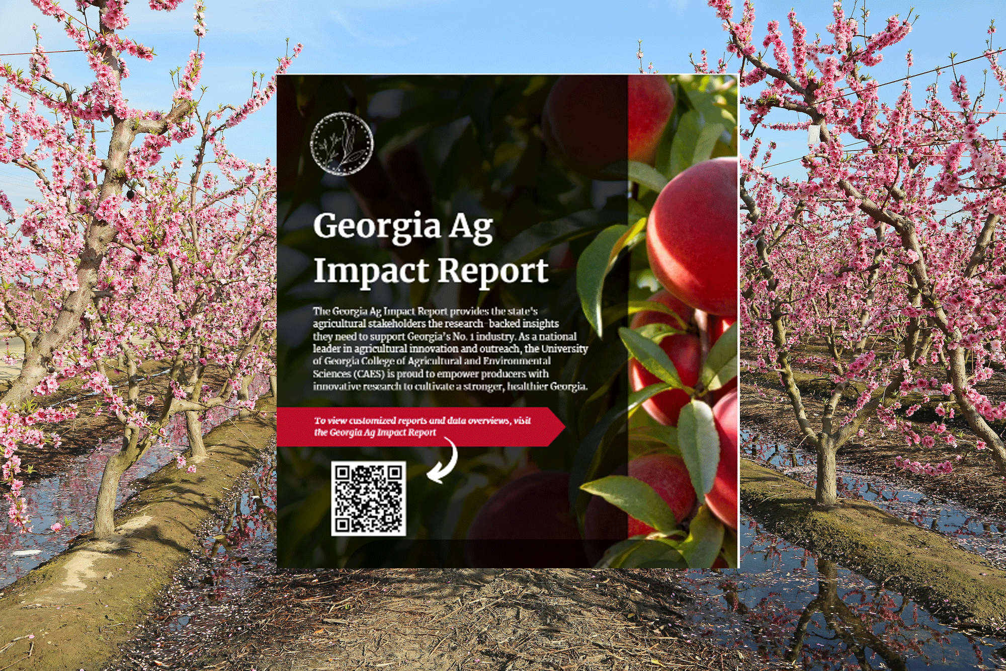 GA Ag Forecast Economic Outlook - Economy Southeast AgNET